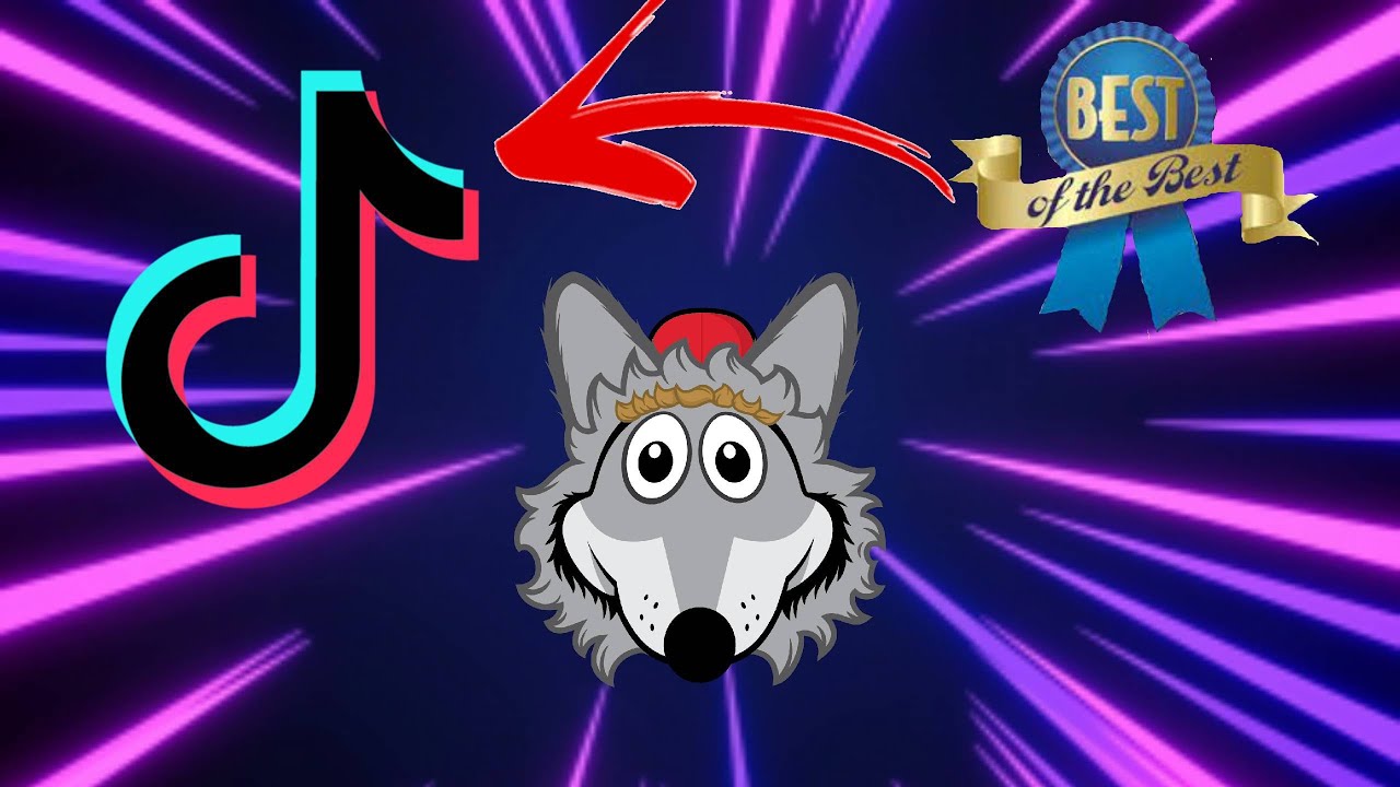 Top 10 KC Wolf TikTok Compilation from the Kansas City Chiefs. NFL ...