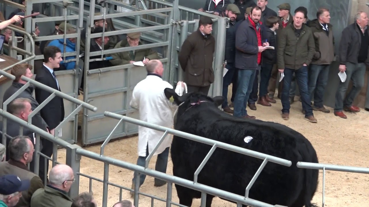 Linton Gilbertines Elgin 25000gns to Eastfield - YouTube