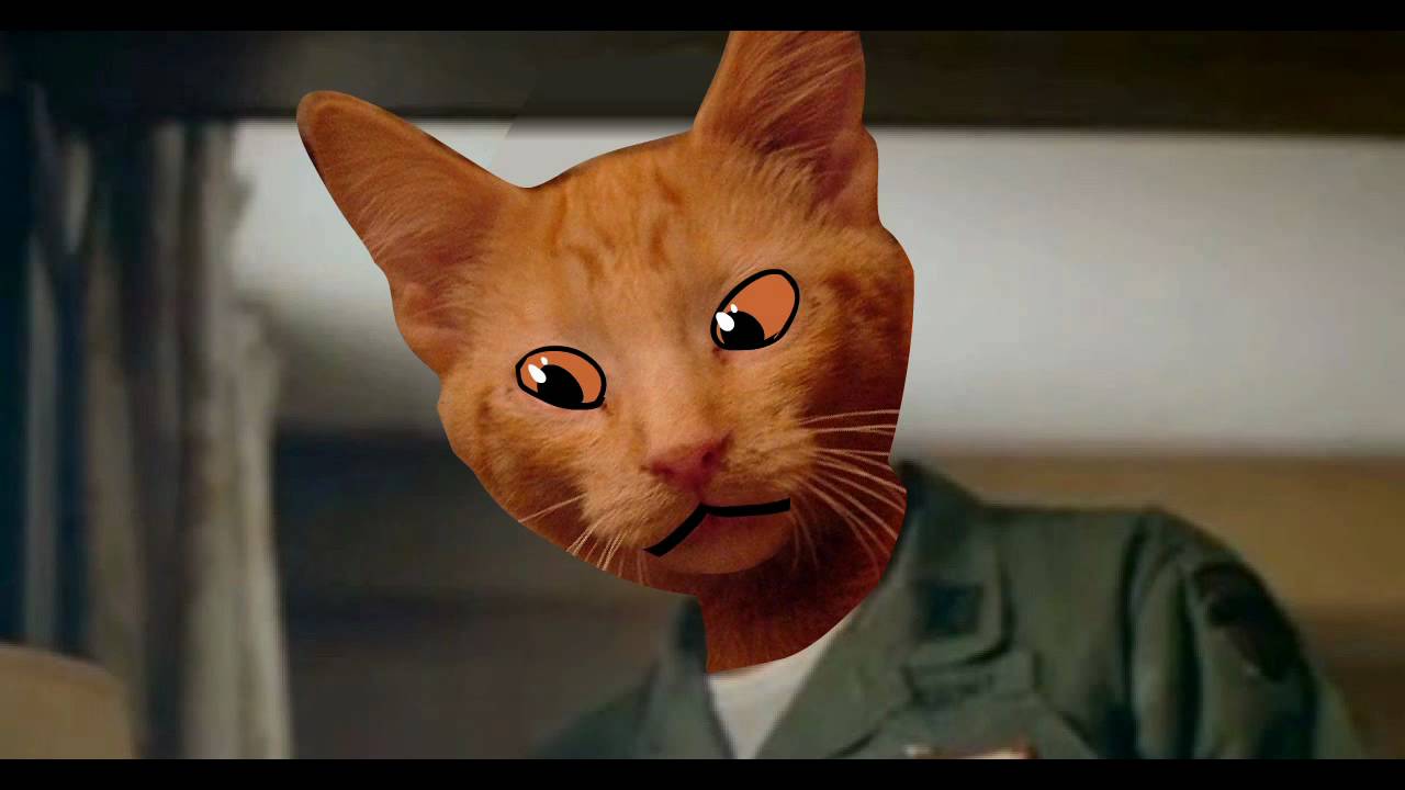 Apocalypse Meow - YouTube