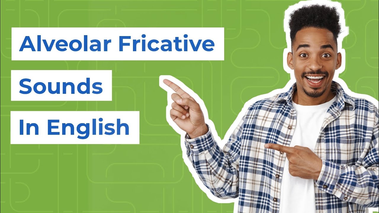 Alveolar Fricative Sounds in English | Meaning | Types (Copious ...