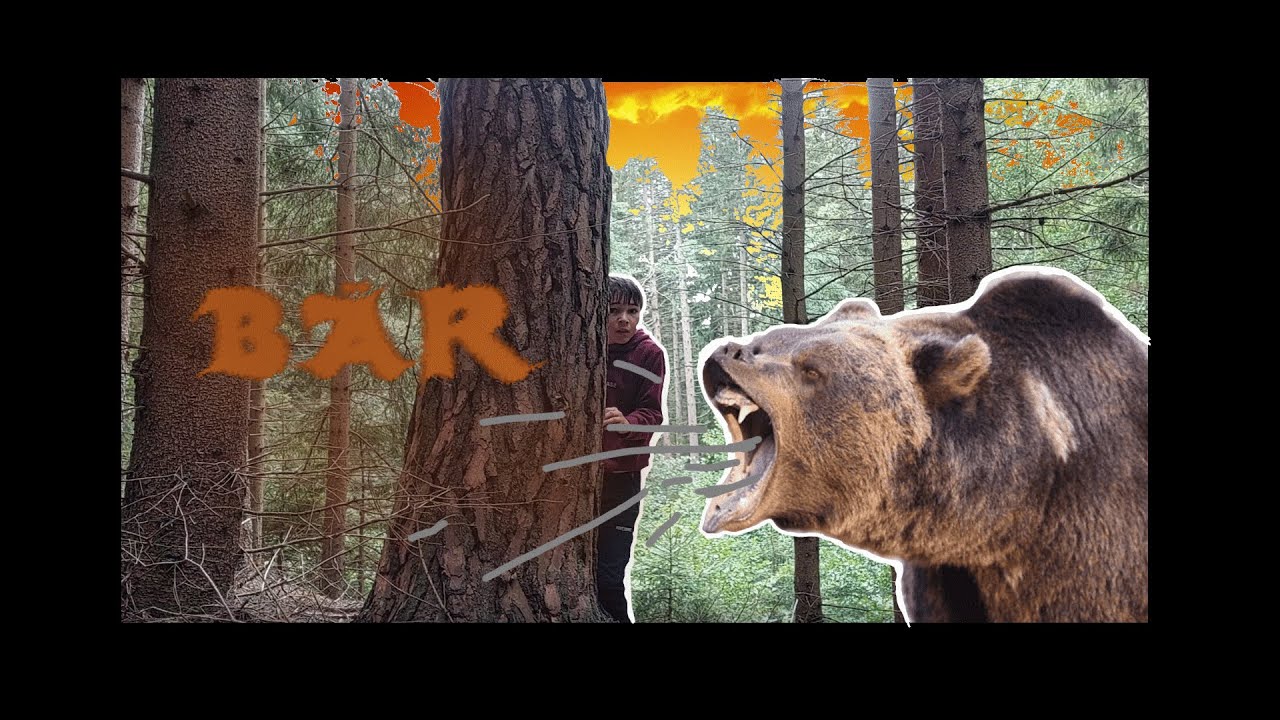 Bär Song (Manitro) - YouTube