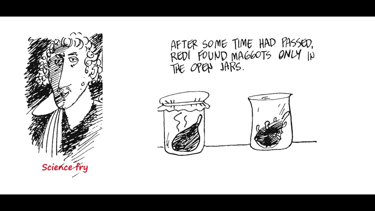 The cartoon guide to genetics - part 3 - YouTube