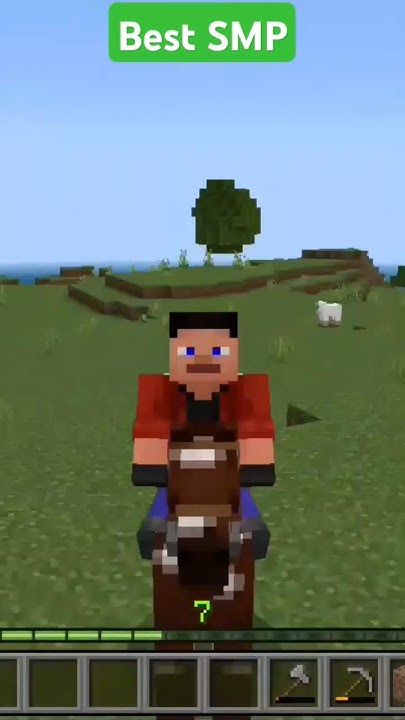 Minecraft No Landclaim Lifesteal Smp | Without Landclaim Smp For Java ...