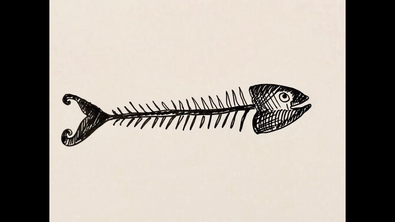 HOE FILEER JE EEN PLATVIS EN EEN RONDVIS? - YouTube