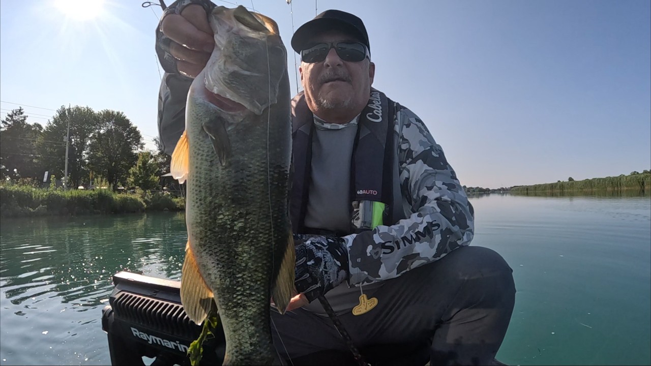 July 2024 Spinners and Frogs a great combo on the Snye River! - YouTube