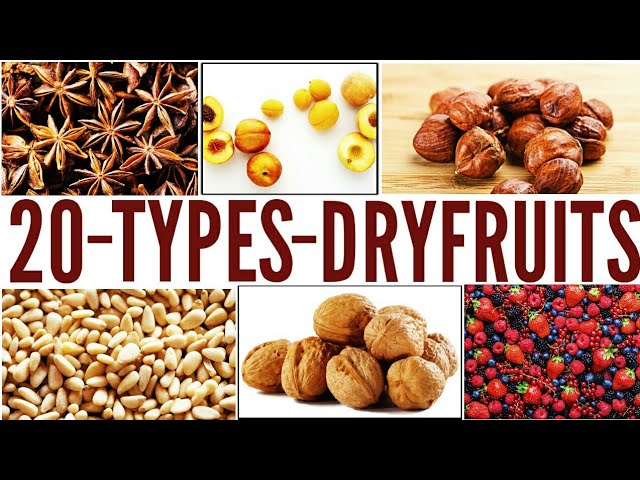 All Types Of Dry Fruits With Pictures - Infoupdate.org