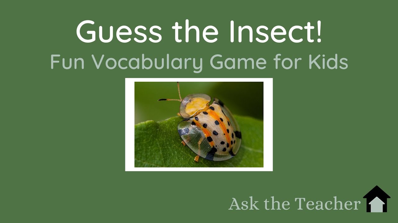 Guess the Insect! | Fun Brain Break & Vocabulary Game for Kids - YouTube