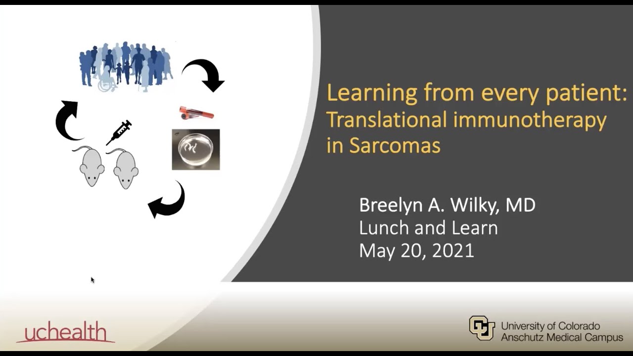 Learning From Every Patient: Translational Immunotherapy in Sarcomas ...