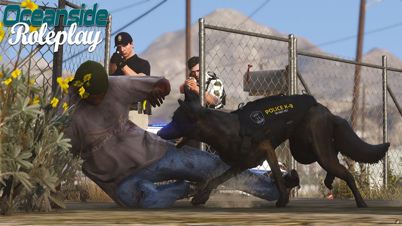 K-9 Takedown! | Oceanside Roleplay | Ep.49 - YouTube