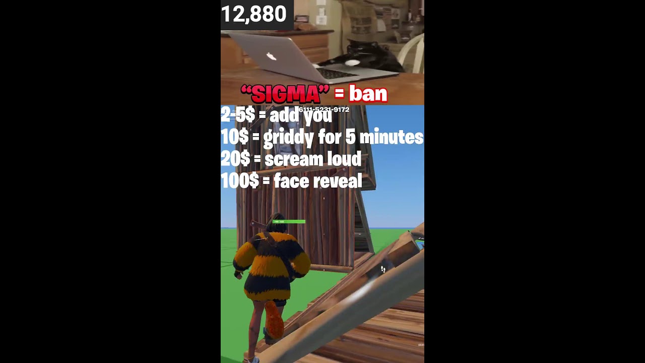 🔴LIVE FORTNITE TRYING TO GET PREMFN PC - YouTube