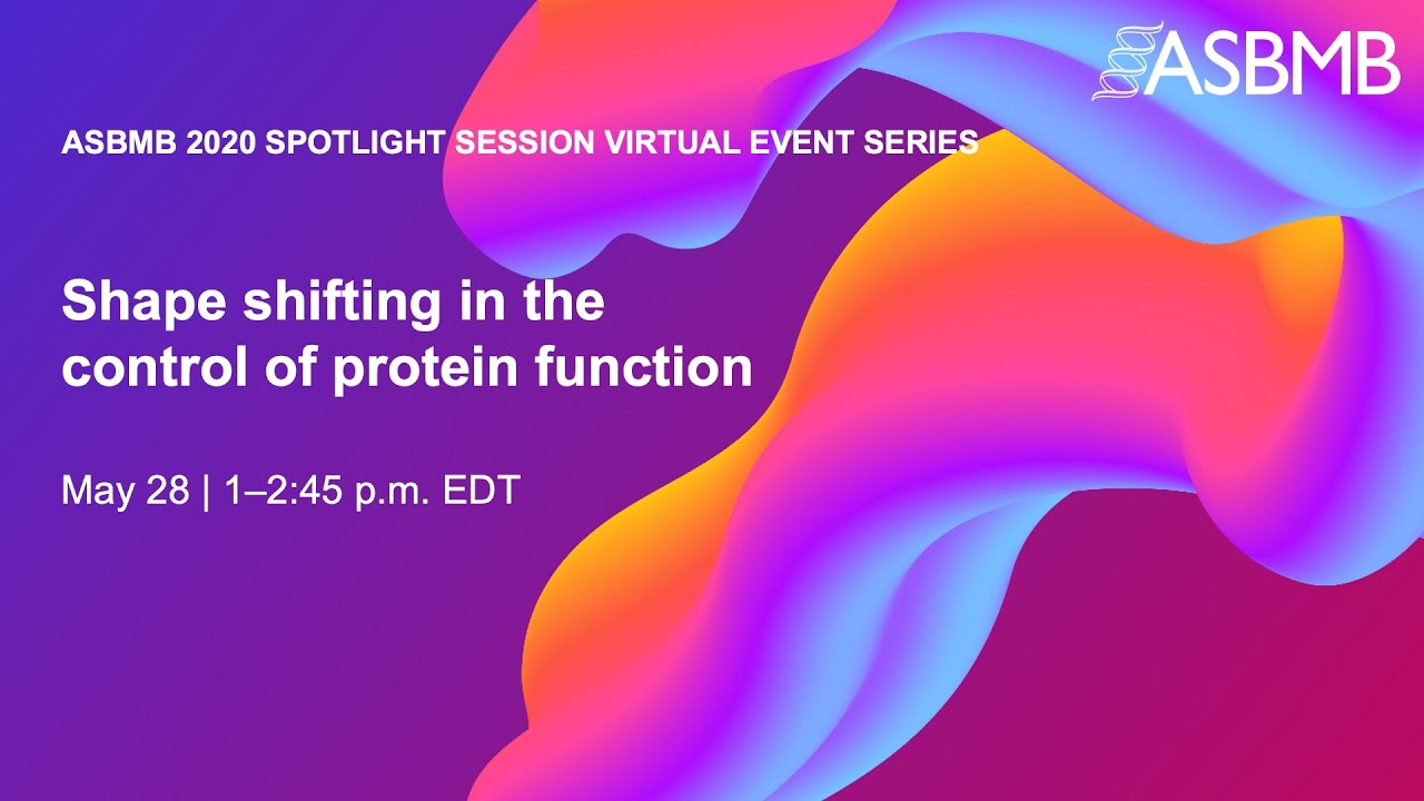Shape shifting in the control of protein function - YouTube