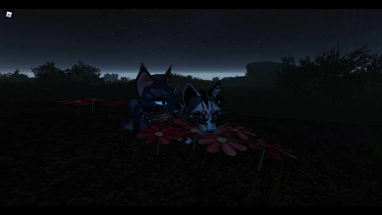 Mine | Edit for [ Fox! ] | Ship edit of Raven'Cry and Shamrock/The ...