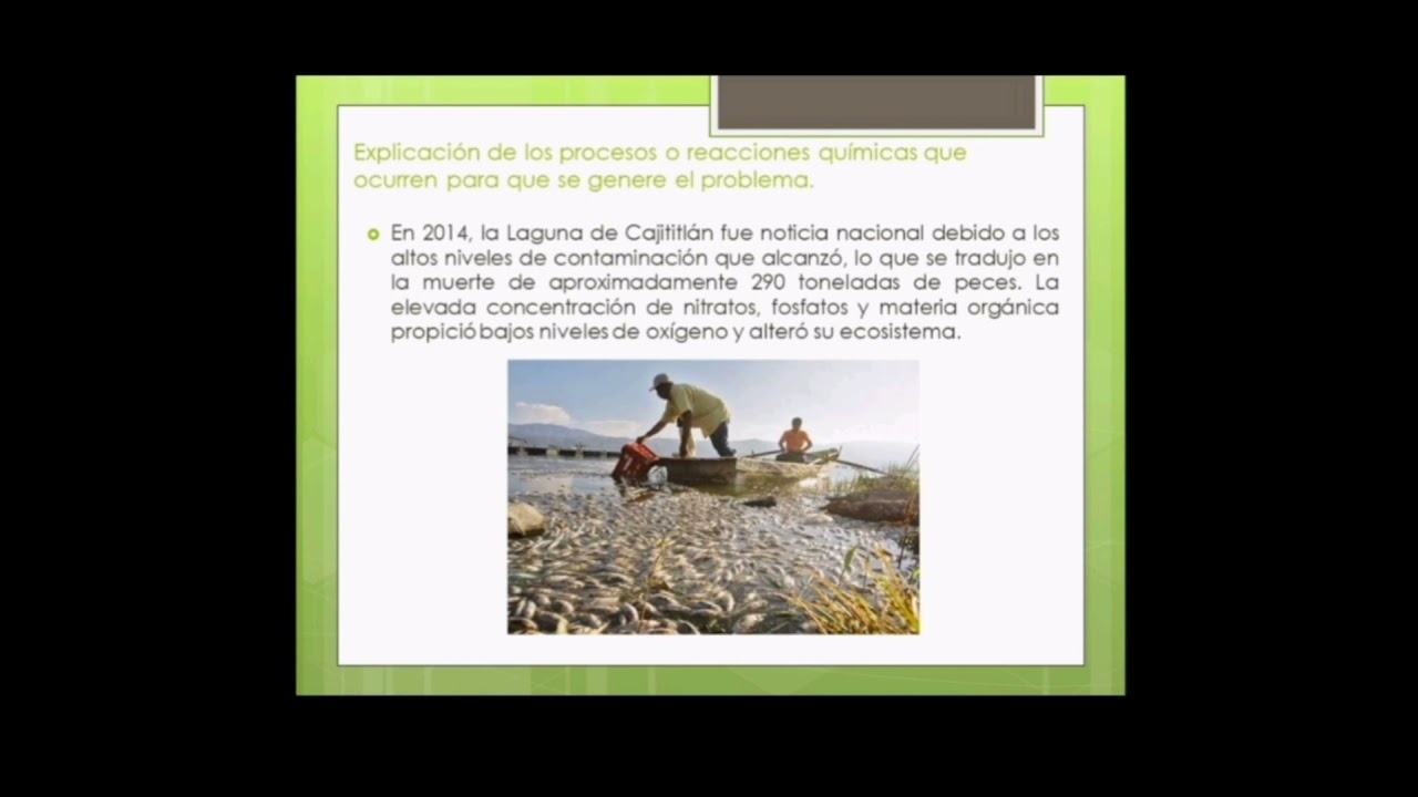 Proyecto Integrador Agente Verde elaborado por Julio Cesar Franco ...