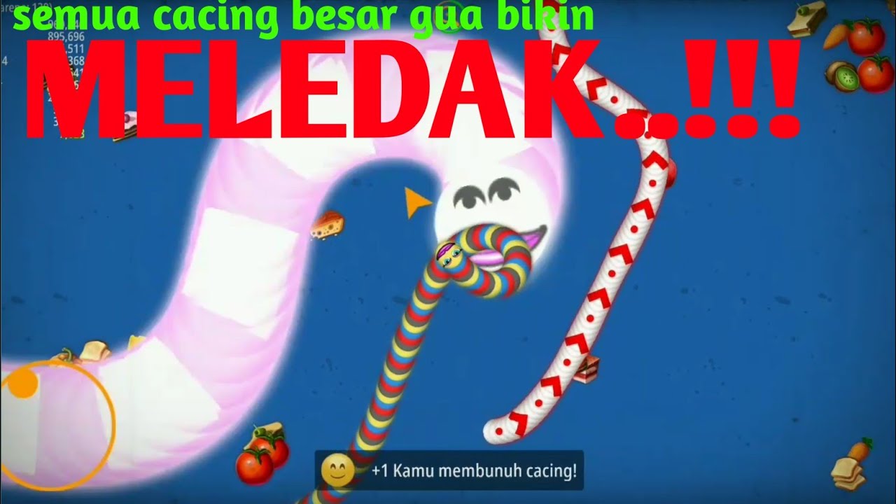 Cacing besar alaska-best momen wormzone indonesia#02 - YouTube