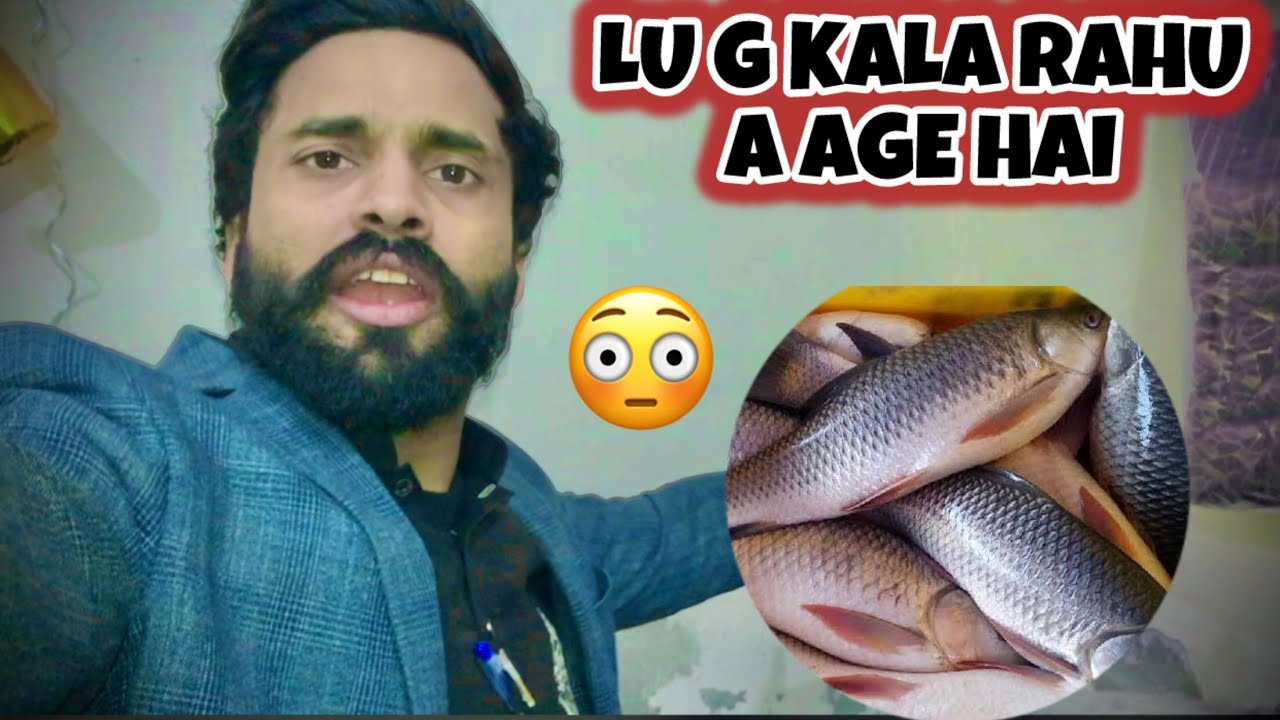 KALA RAHU FISH 🎣 AJ GHR ME HI FRI KI 🤪 - YouTube