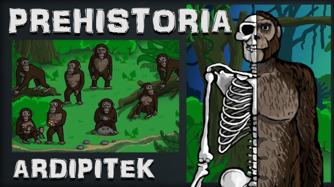 Ardipitek - Najstarszy Przodek Człowieka - Prehistoria - Odc.1 ...