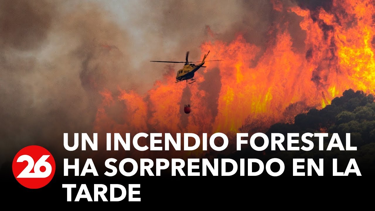 Alerta Por Incendio Forestal En Madrid Youtube