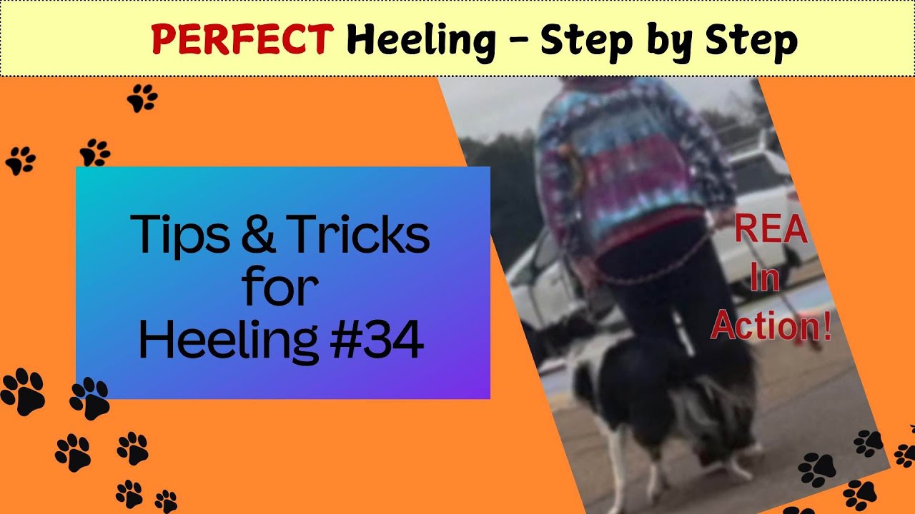 34 Left About Turn Introduction Building DESIRE - Perfect Heeling - YouTube