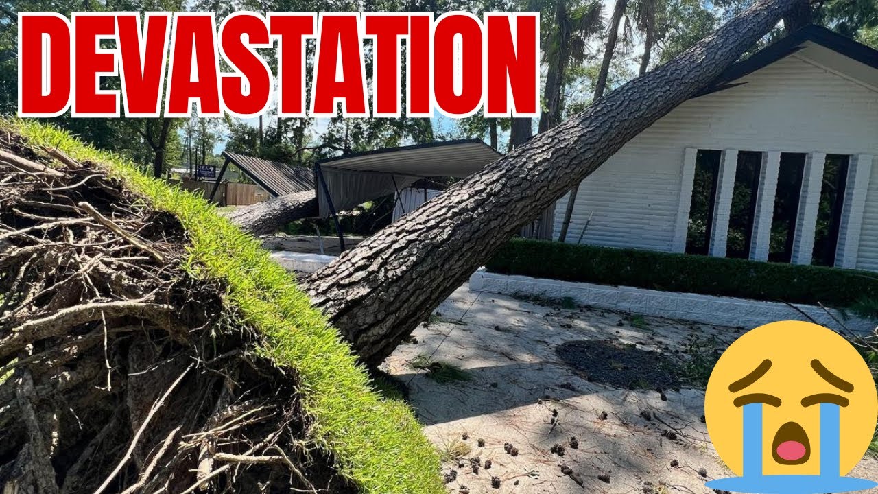 DEVASTATION - YouTube