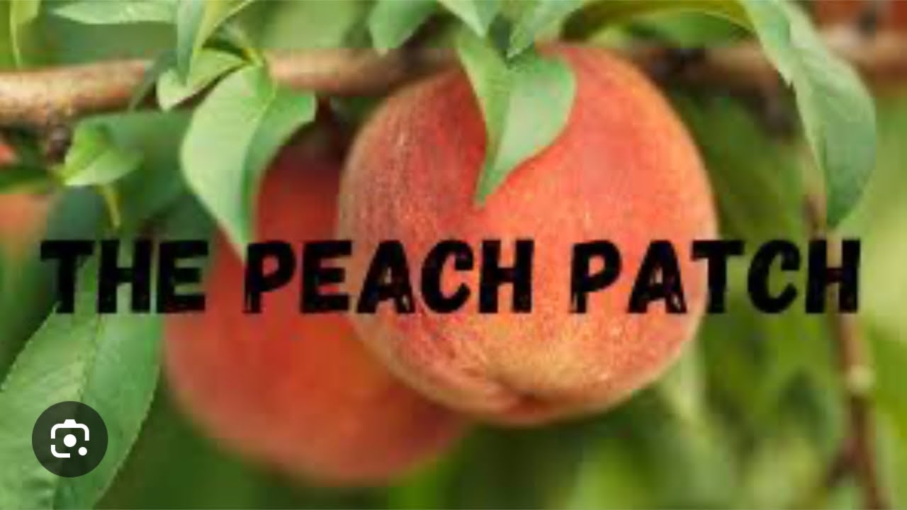The Peach 🍑 Don’t Fall Too Far From The 🌴 Tree #peachmcintyre - YouTube