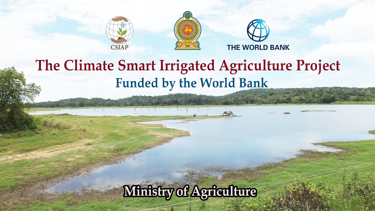The Climate Smart Irrigated Agriculture Project (CSIAP) - YouTube