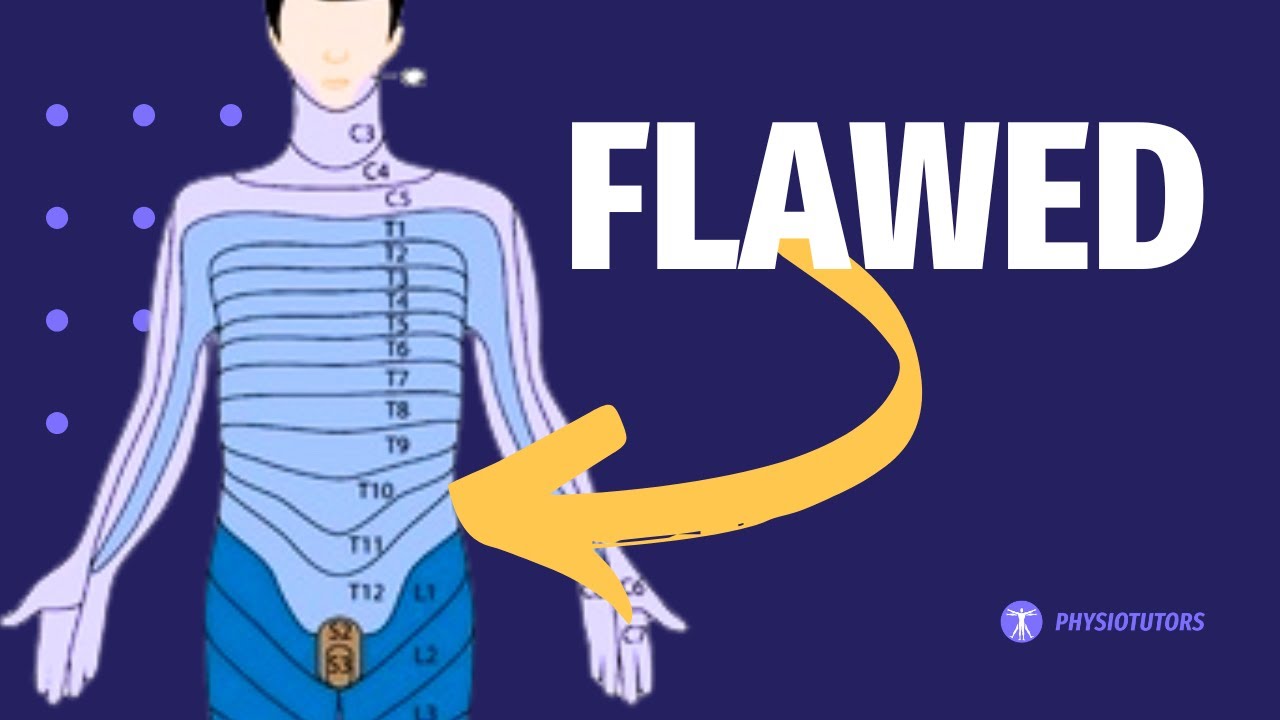 Dermatome Maps are FLAWED | Radiculopathy - YouTube