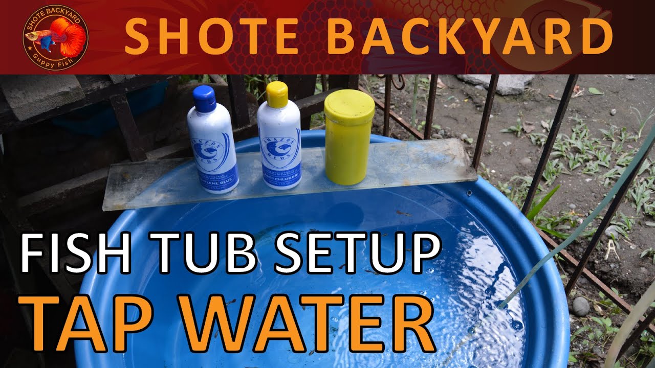 How to Setup a Fish Tub using TAP WATER - YouTube