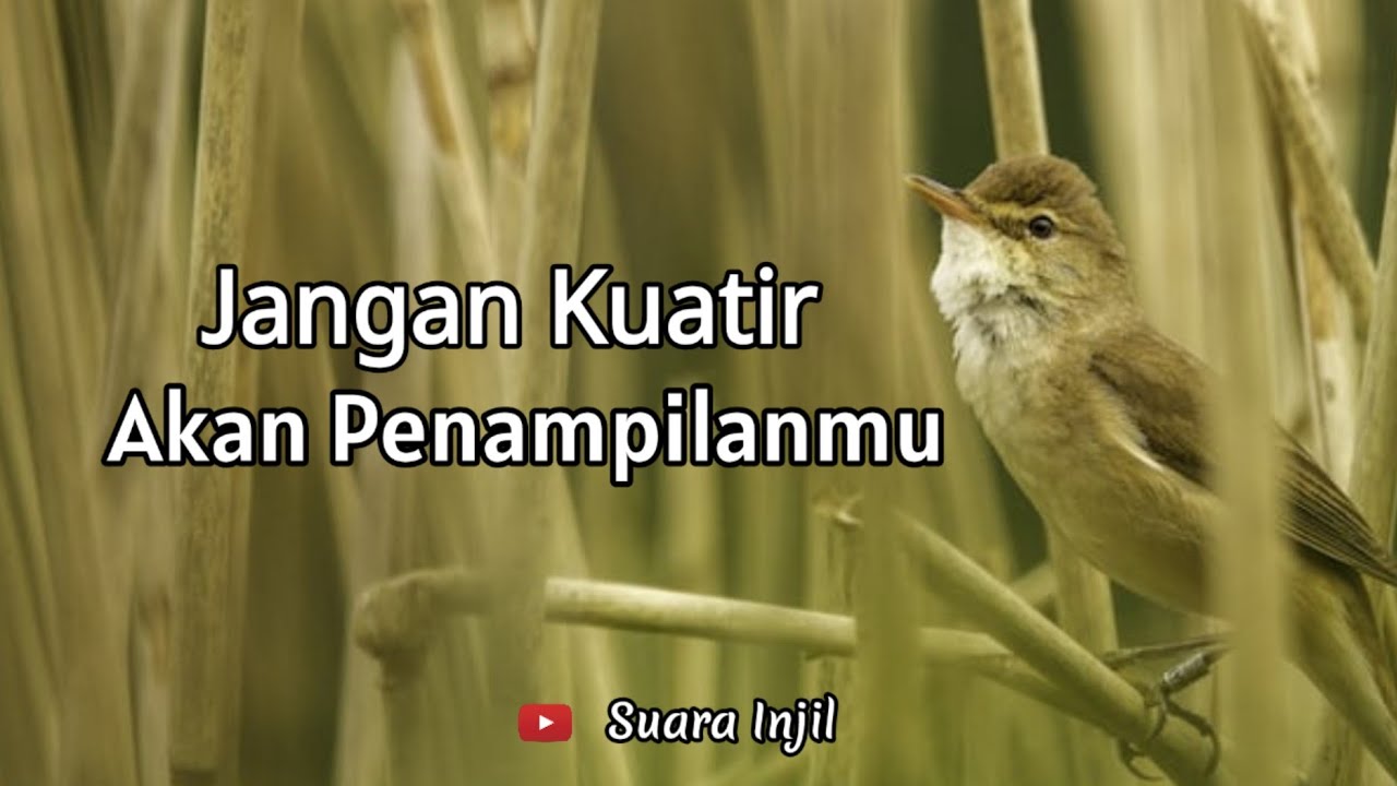Jangan Kuatir Akan Penampilanmu. Renungan Dan Doa Pagi Suara Injil ...