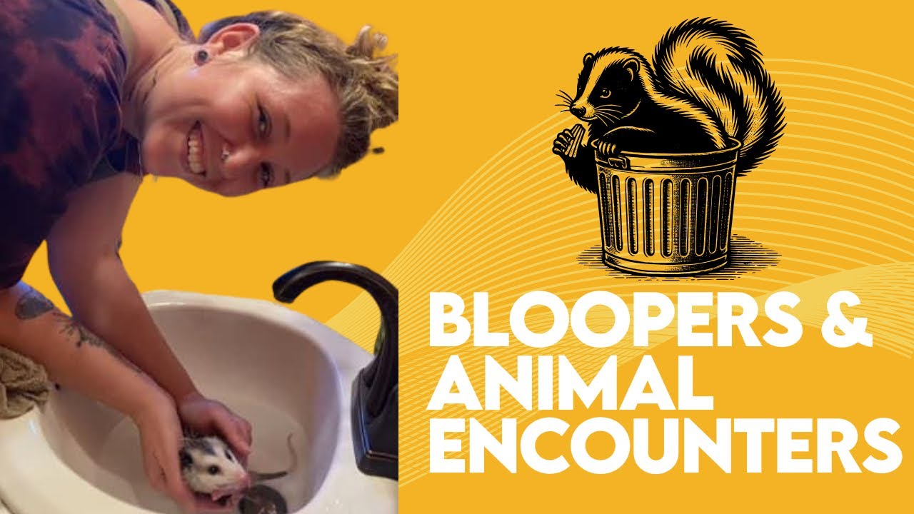 A compilation of bloopers & animal encounters - YouTube