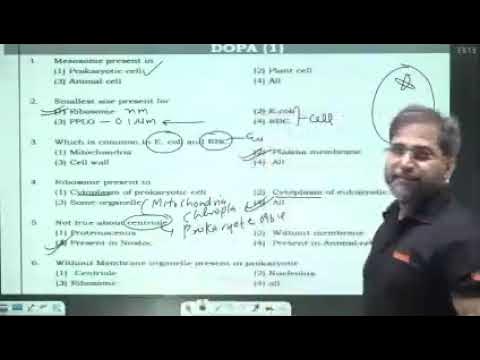 4 CELL THE UNIT OF LIFE LEC04 360p - YouTube