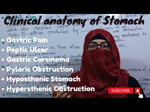 Clinical anatomy of stomach | stomach anatomy | abdomen and pelvis ...