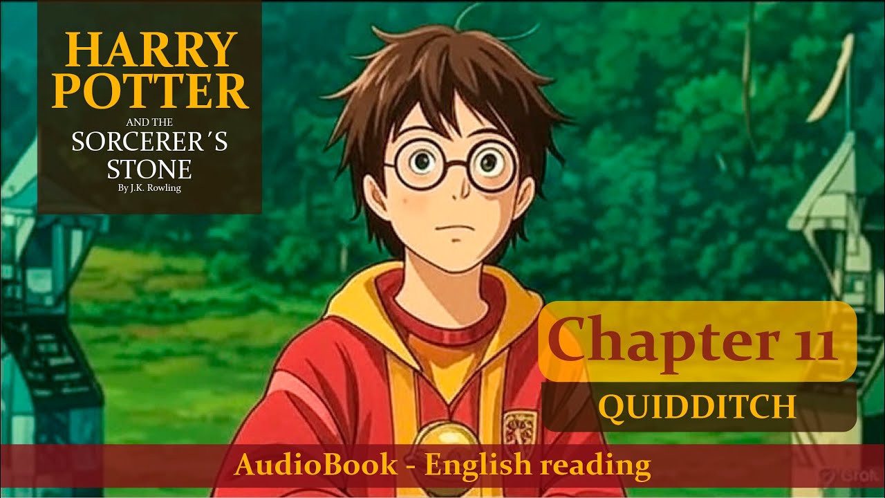 Harry Potter and the Sorcerer’s Stone Audiobook | Chapter 11: Quidditch ...