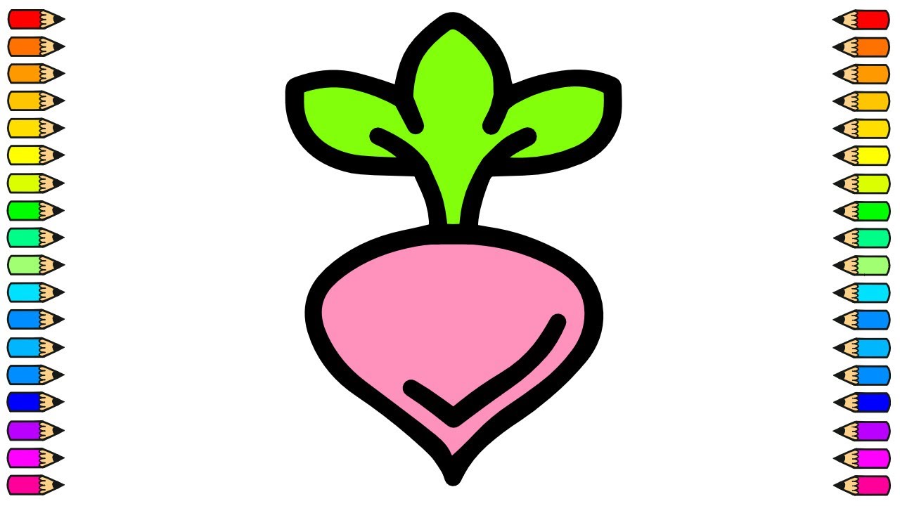 Cómo dibujar un RÁBANO / Dibujo de RÁBANO paso a paso / Dibujos para ...