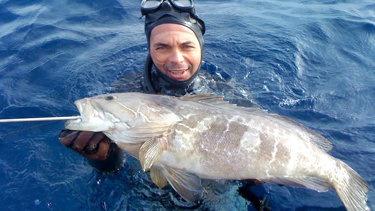 Spearfishing.Golden Grouper.. - YouTube