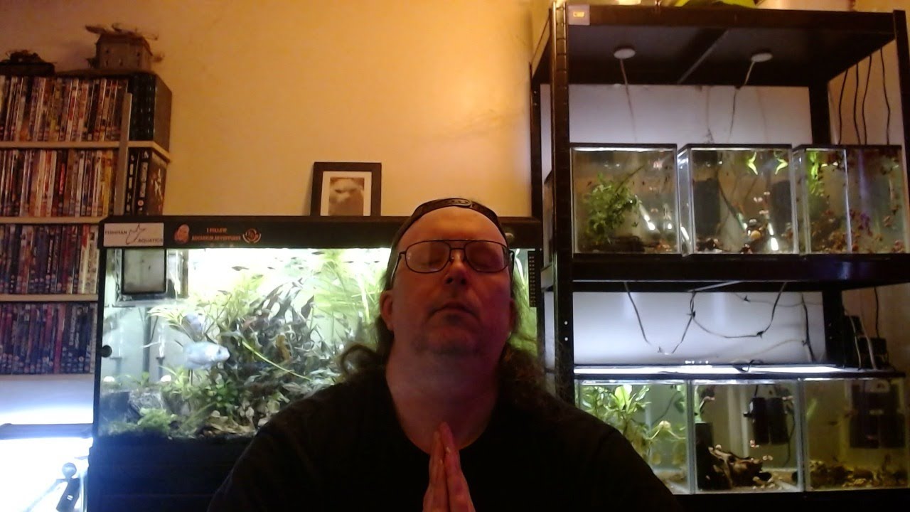 Sunday Sharpe: Requiescat In Pace Mridul - YouTube