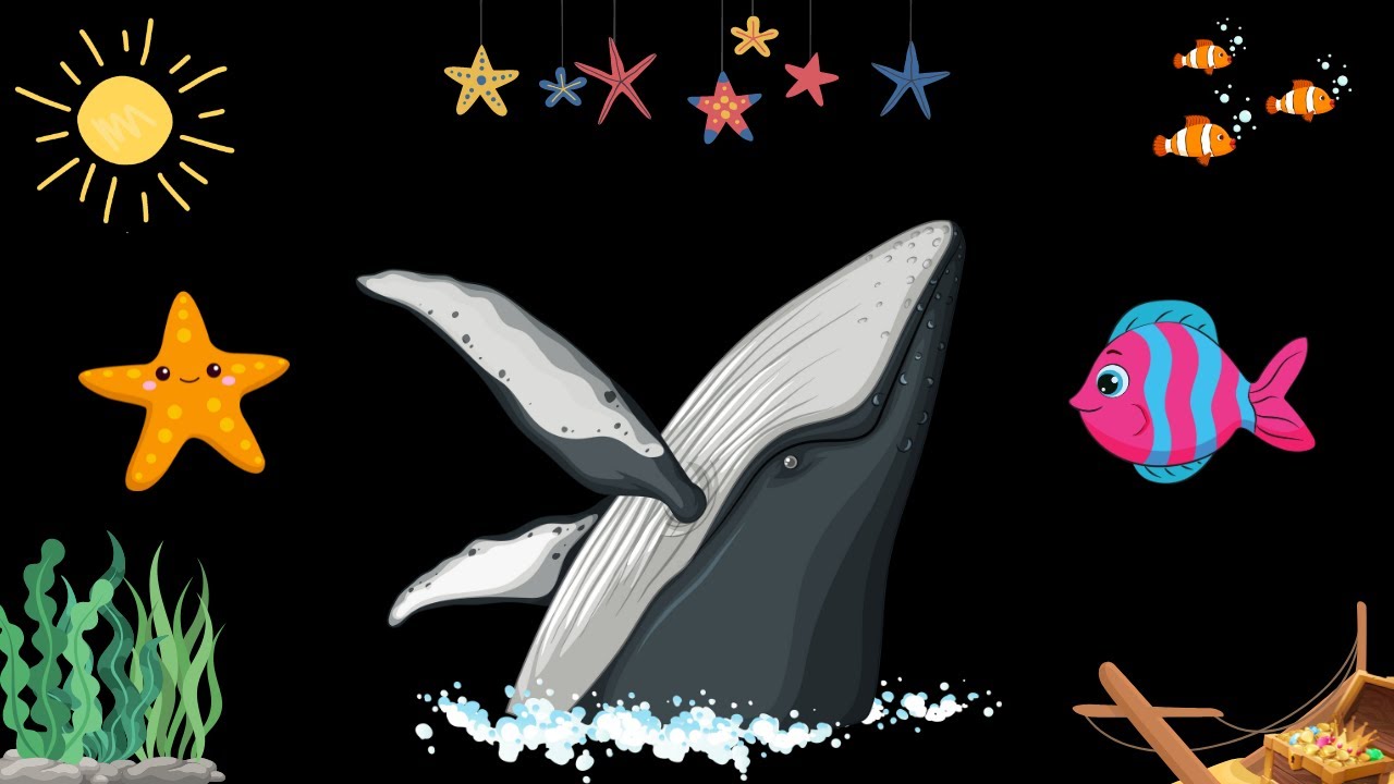 Underwater Sensory Adventure 🌊 Explore Sea Life Wonders for Kids! - YouTube