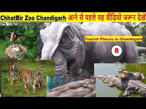 Chhatbir zoo in chandigarh Vlog full tour | Chhatbir chidiya ghar ...