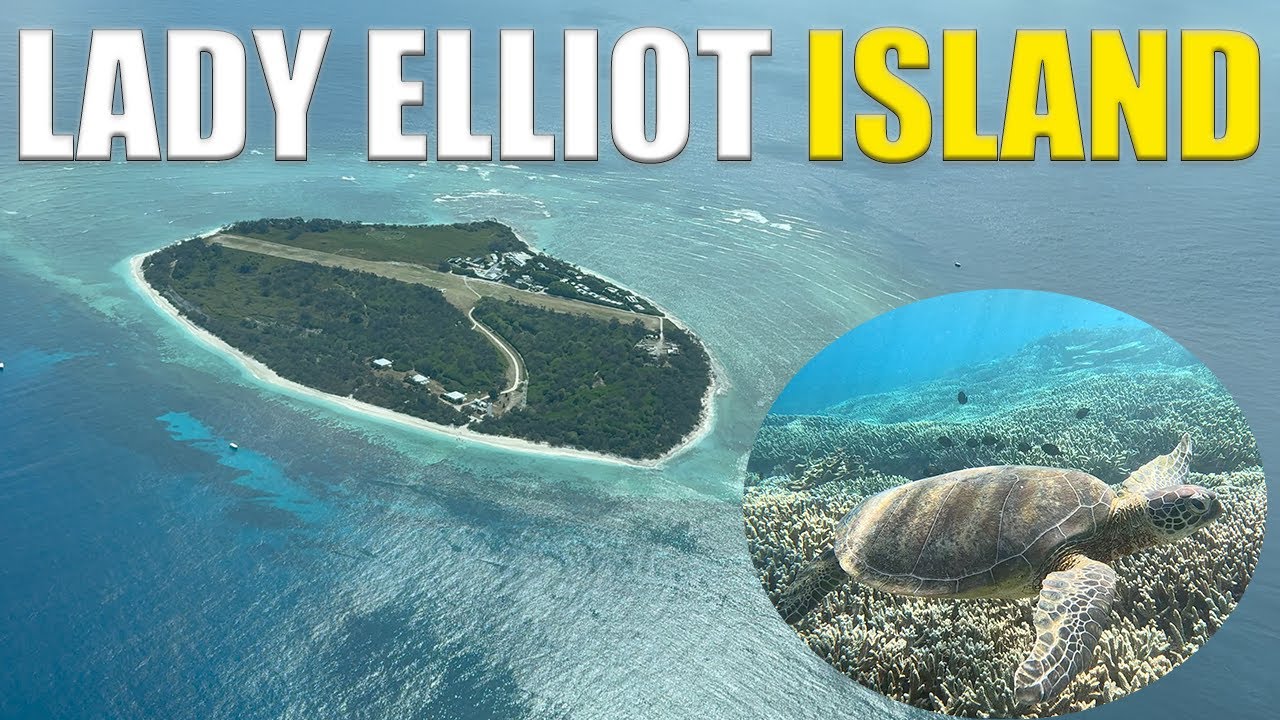 Scuba Diving Australia's Hidden Gem: Lady Elliot Island On Great ...