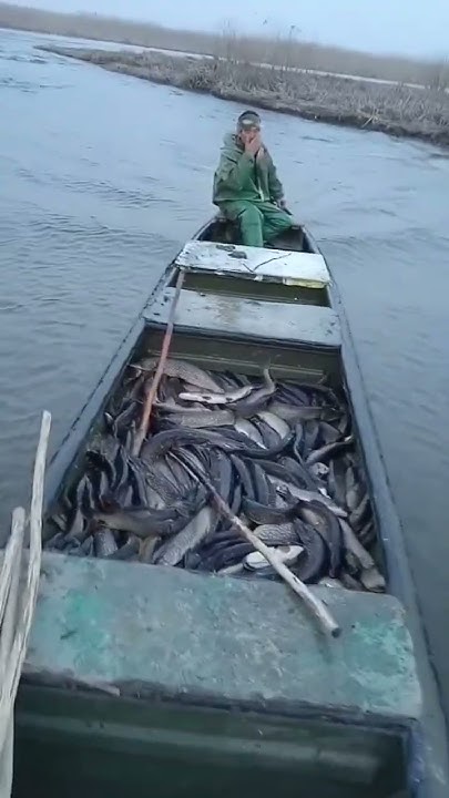 Рыбалка в Астраханской области село Калинина Youtube