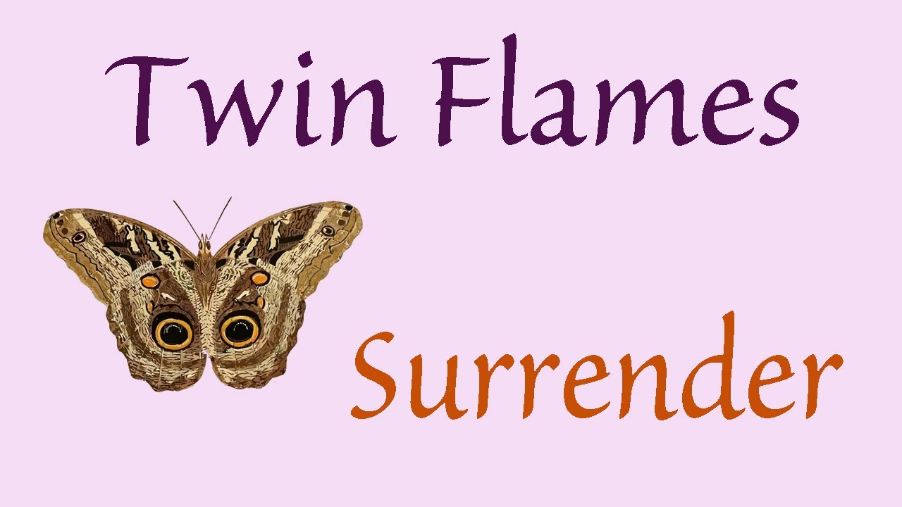 How to Surrender on your Twin Flame journey 🦋 ☯️ - YouTube