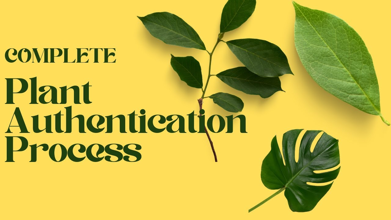 Plant authentication Complete Process | Plant Authentication Service ...
