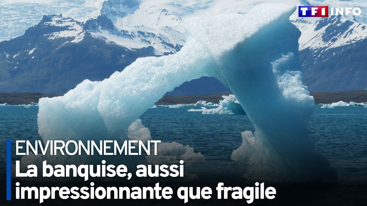 La banquise, aussi impressionnante que fragile - YouTube