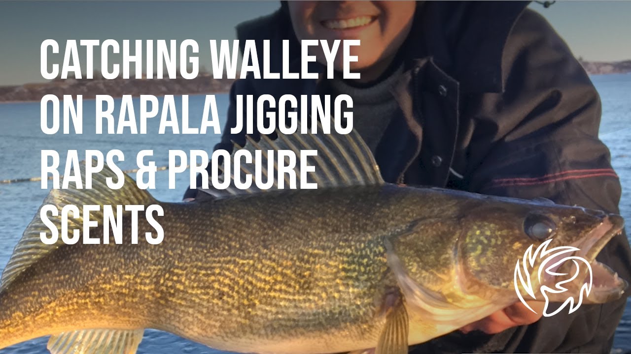 Catching Saskatchewan Walleye on Rapala Jigging Raps and Procure Scents ...
