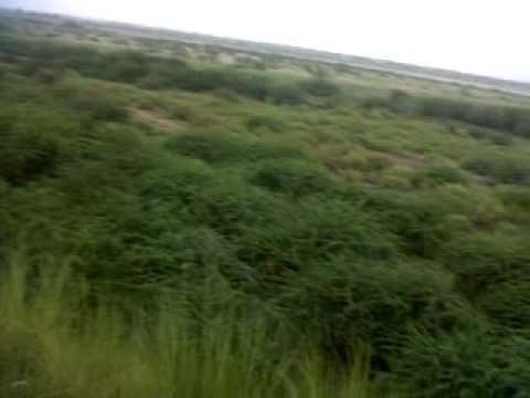 pashto marwat don khoidadkhel.3GP