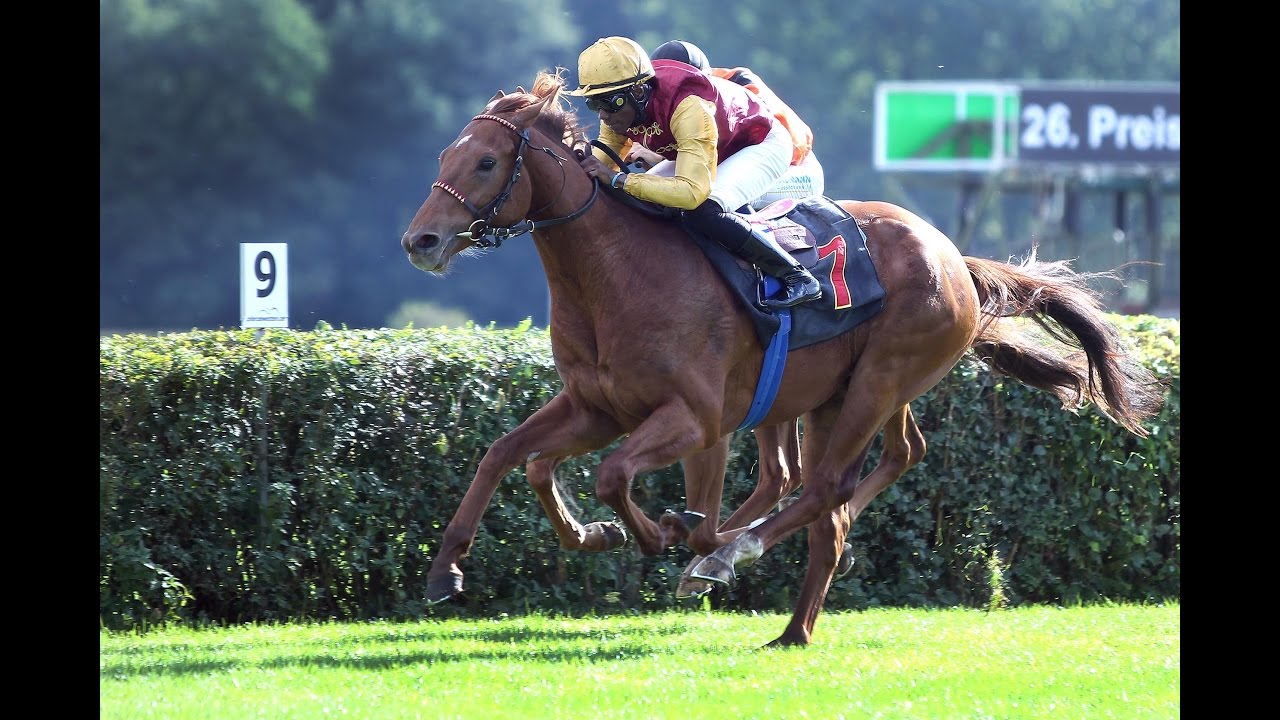 Hoppegarten: Sea The Moon-Rennen (D) - Sieger: Warring States - YouTube