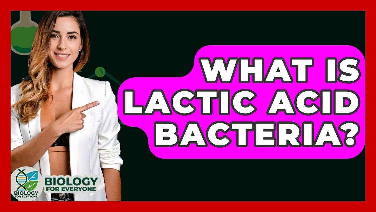 What Is Lactic Acid Bacteria? - Biology For Everyone - YouTube