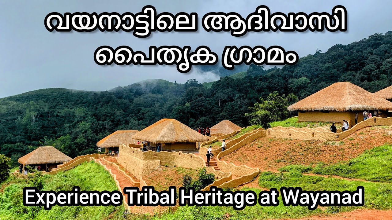 Best Places to Visit in Wayanad | Kerala Tourist Places | Tribal ...