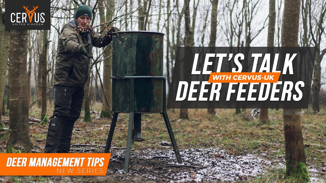 Let's Talk Deer Feeders | Deer Management Tips - YouTube