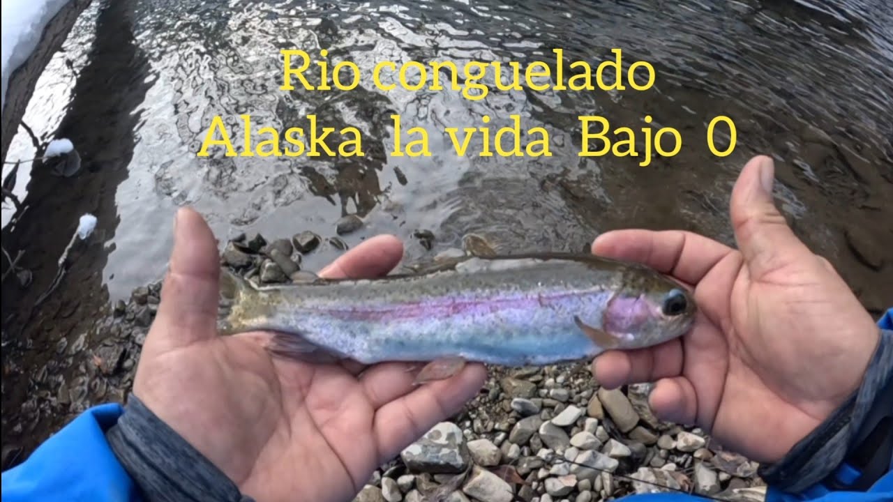 Rio Congelado Alaska la vida Bajo cero. - YouTube