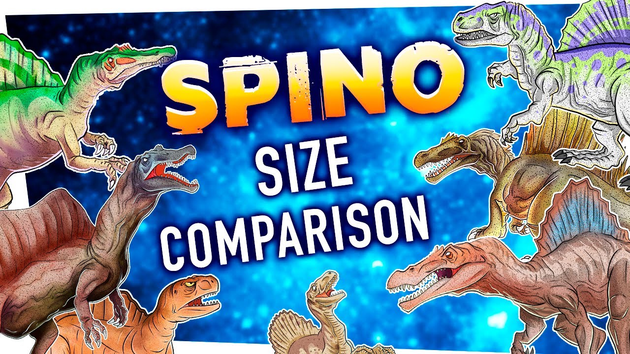 🔥SPINOSAURUS DINOSAUR SIZE COMPARISON | La Evolución Del ESPINOSAURIO ...